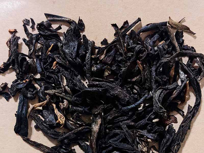 Back in Black - Knotions Magazine