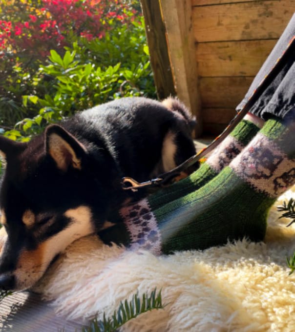 Charming Colorwork Socks - Knotions Magazine